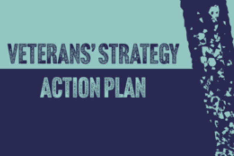 Veterans’ Strategy Action Plan